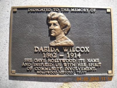 সিনেমা ইন্ডাস্ট্রির নামের পেছনে উড লেখার চল এল কীভাবে | সববাংলায়