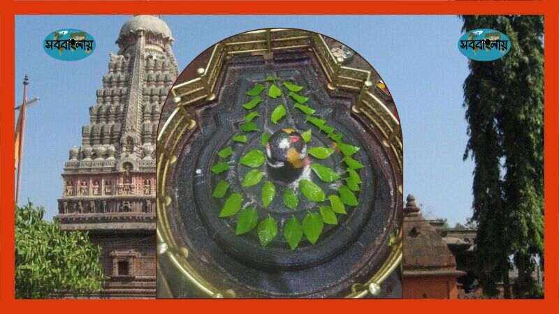 জ্যোতির্লিঙ্গ ঘৃষ্ণেশ্বর | সববাংলায়